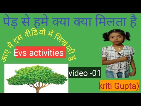 tree hame kya kya deta hai.aaye jant hai#youtubeshorts #shorts # ...