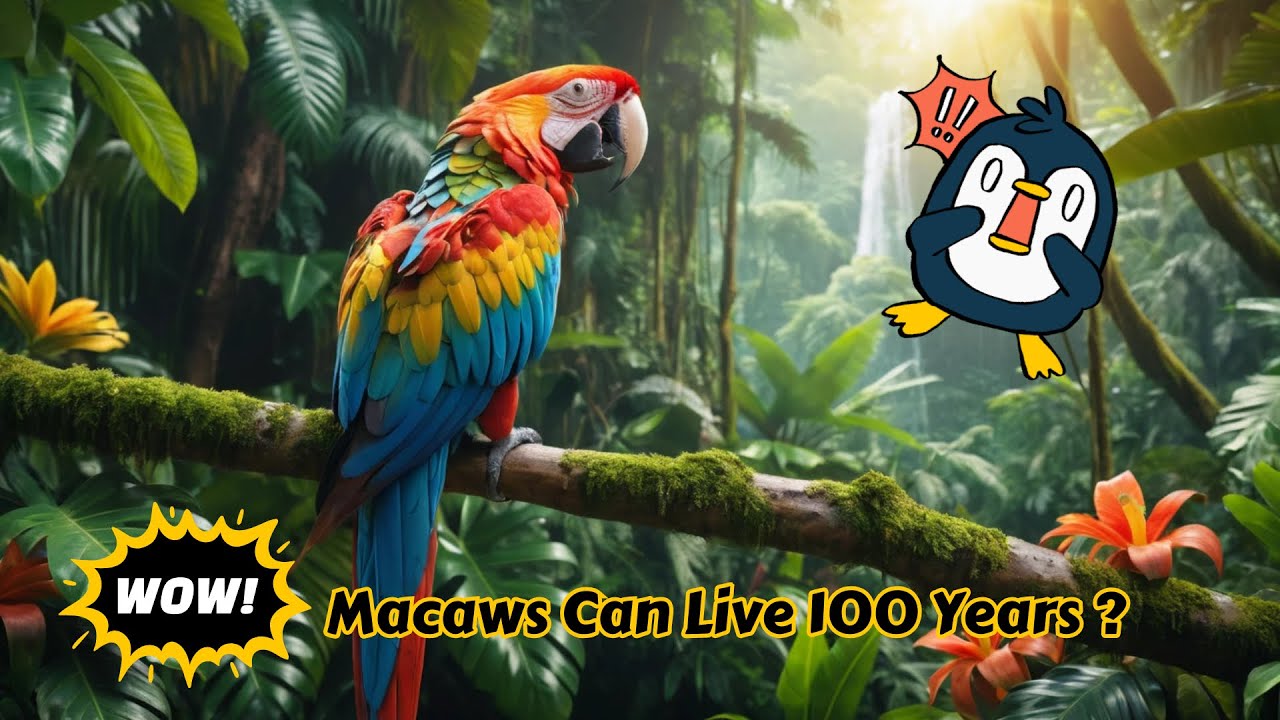 Can Macaws REALLY Talk?! 🦜 Fun Macaw Facts & Myths Busted! 🌟 Learn with ...