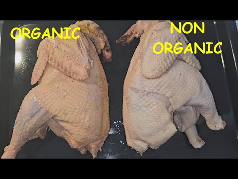 Organic vs non-organic chicken. Real vs fake poultry comparison - YouTube