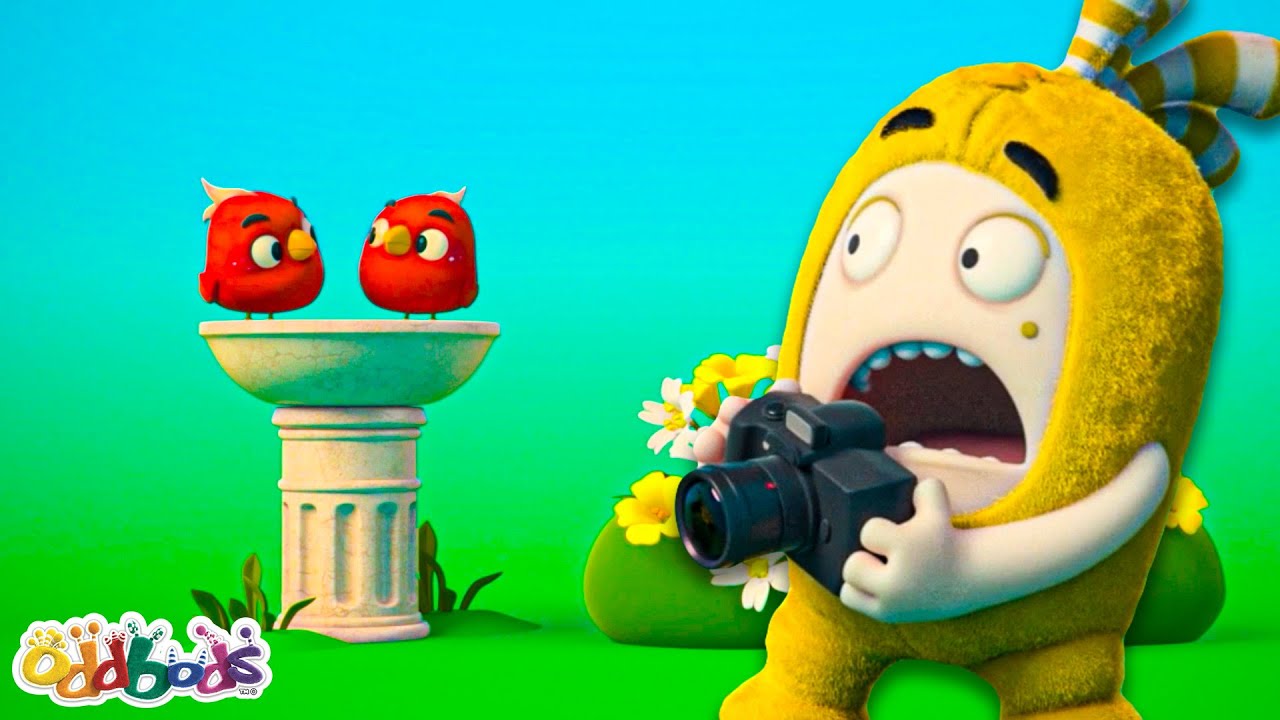 🐦 Bird Photography 🐦 | Baby Oddbods | Funny Comedy Cartoon Episodes for ...
