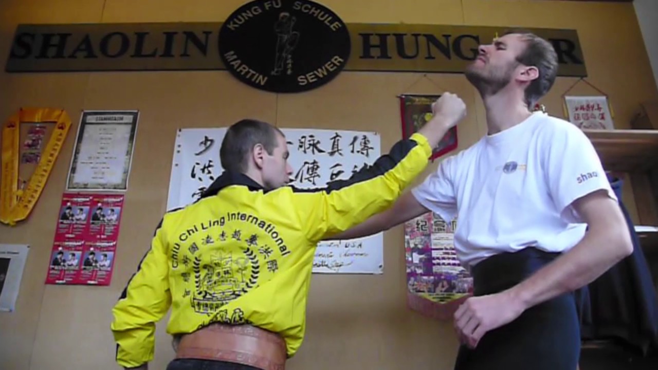 Shaolin Hung Gar Kung Fu Techique. Grand Master Martin Sewer December ...