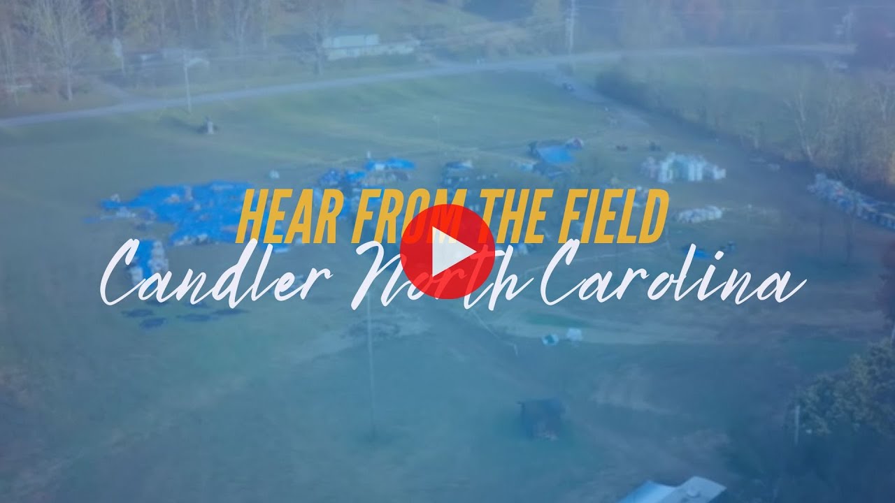 Update From The Field | Candler North Carolina - YouTube