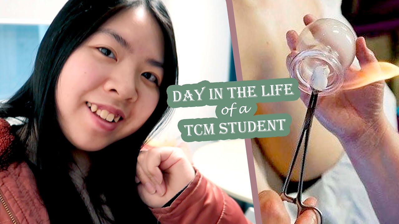 Day in the life of a Traditional Chinese Medicine student - YouTube