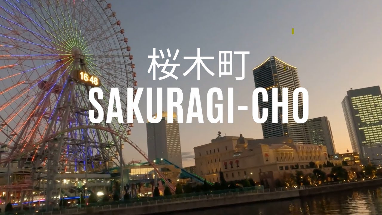 Strolling through Yokohama's Sakuragi-cho | 漫步横滨樱木町 | 横浜の桜木町を散歩する - YouTube