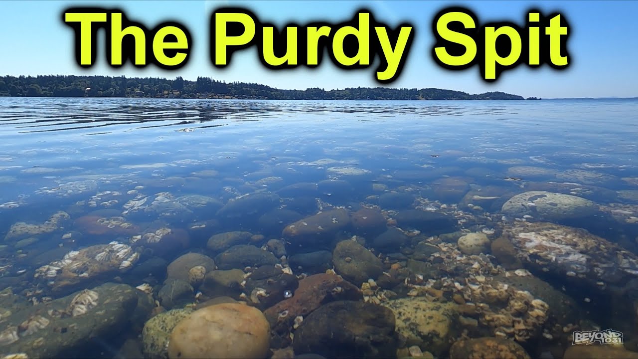 The Purdy Spit [Day 3959 - 09.02.21] - YouTube