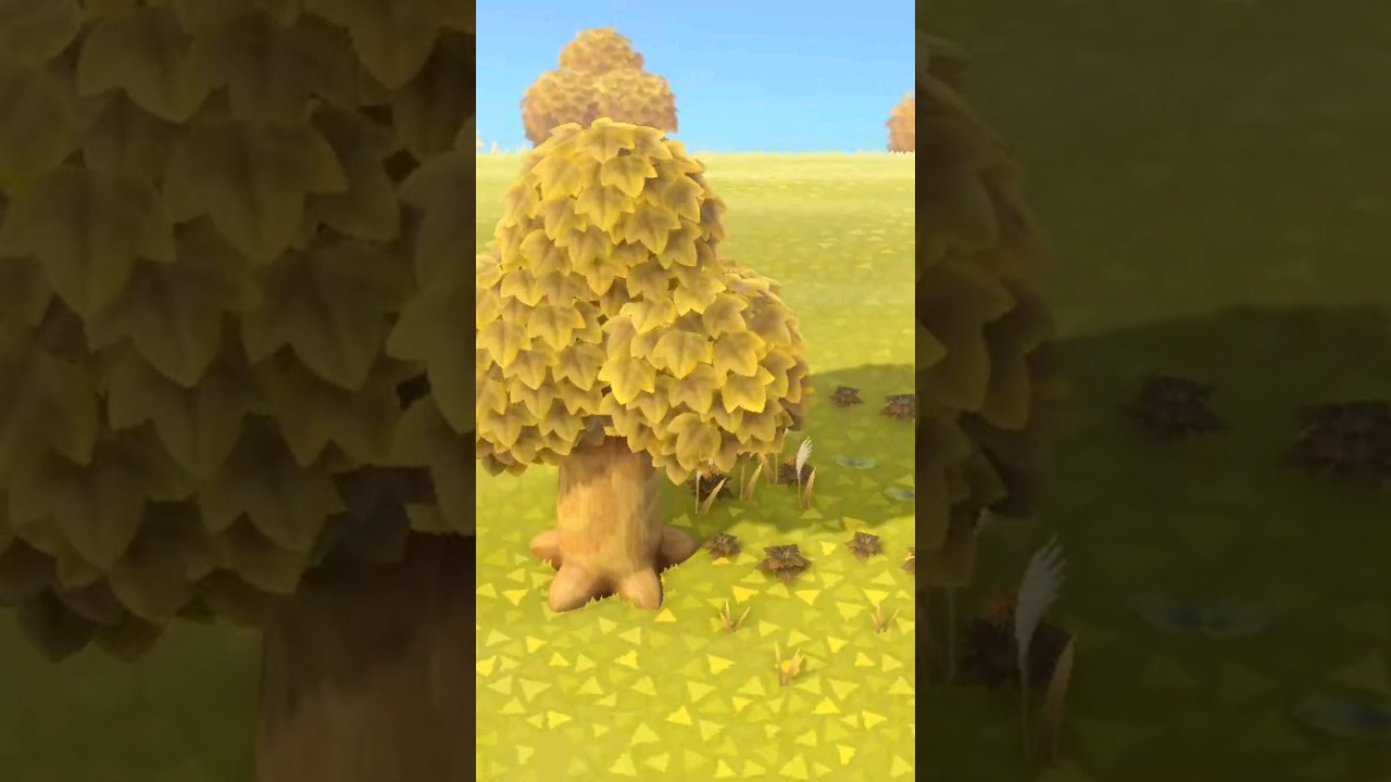 Doing random island things #animalcrossing - YouTube