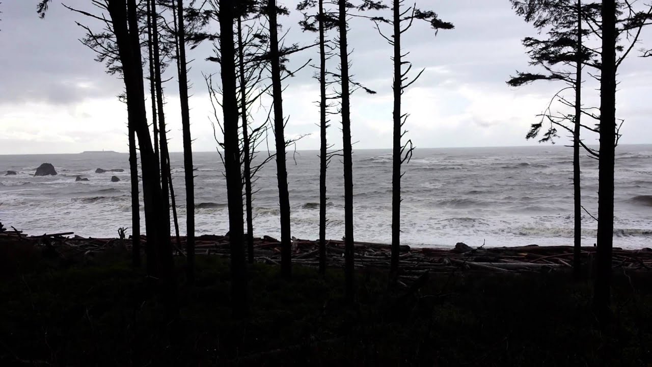 Ruby Beach Camping weekend, Washington Coast march 2016 - YouTube