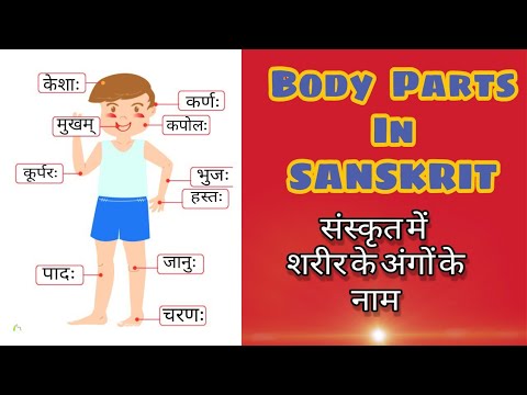 Body Parts In Sanskrit | संस्कृत में शरीर के अंगों के नाम | Important ...