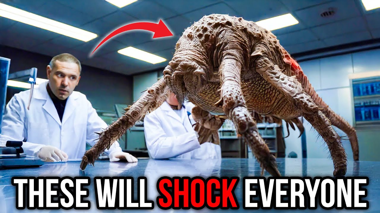 These Crossbreeding Experiments Will Shock Everyone! - YouTube