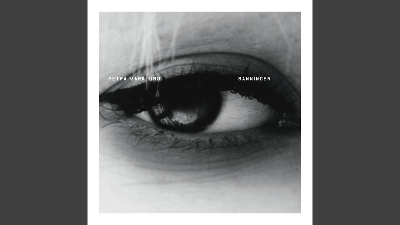 Sanningen (Punchy Radio Remix) - YouTube