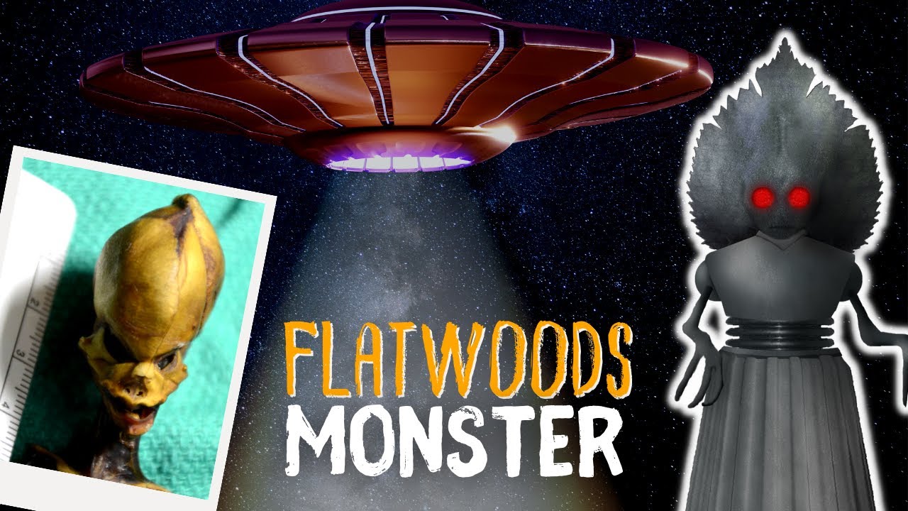 1952 FLATWOODS MONSTER of West Virginia | HOW IT HAPPENED - YouTube