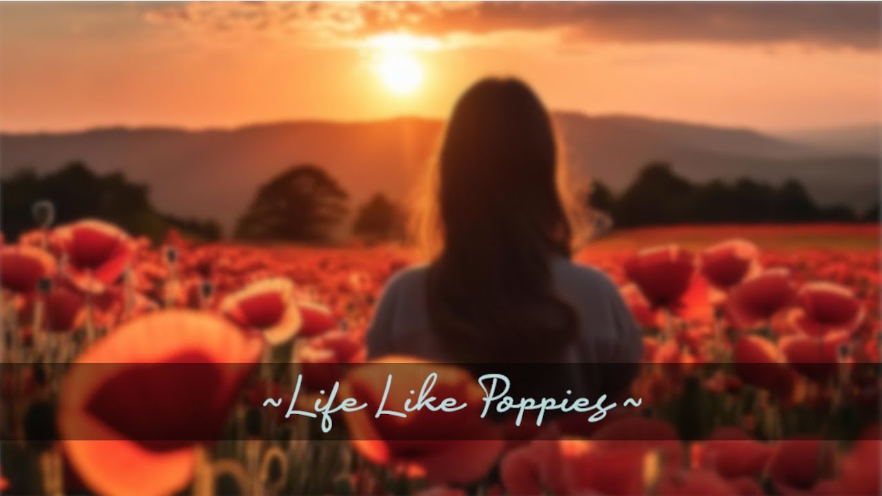 Life Like Poppies | Original Music - YouTube