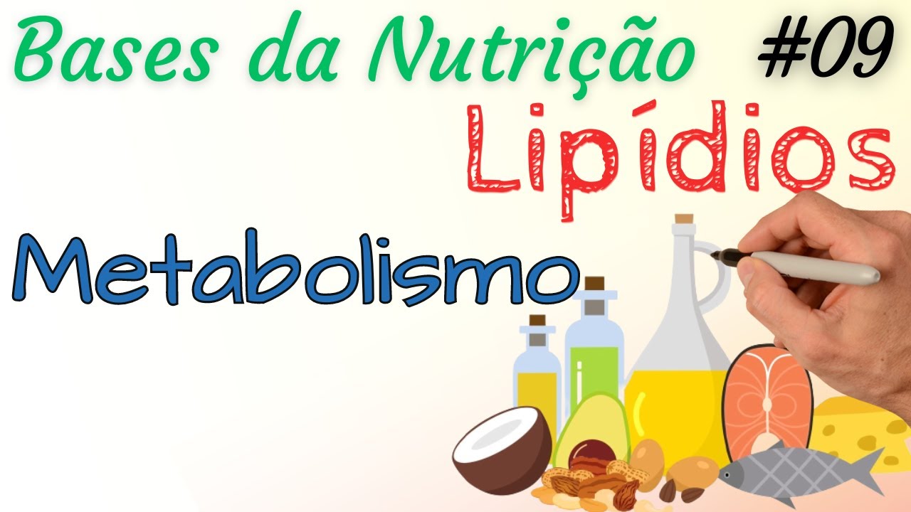 LIPÍDIOS: Metabolismo - Lipólise Lipogênese Beta oxidação - Bases da ...