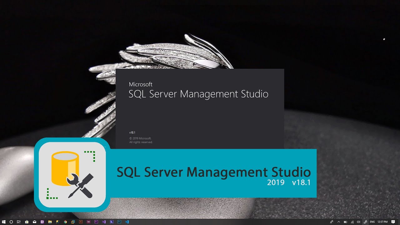 SQL Server Management Studio 2019 - YouTube