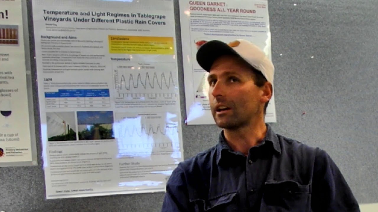 Daniel Nicoletti of Nicoletti Orchards QLD Daves edits - YouTube