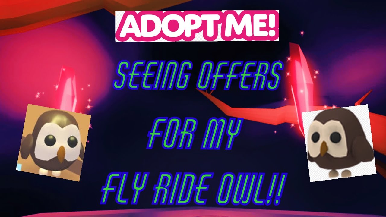 Seeing offers for my Fly Ride Owl in a rich server!! - YouTube