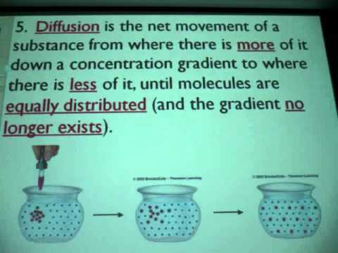 Biology; lesson 7 part 1.wmv - YouTube