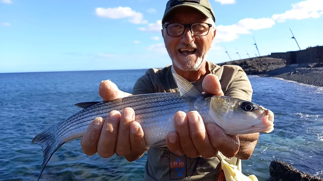 UNA LENZA MICIDIALE PER LA PESCA AL CEFALO! (Montatura per Pescare i ...