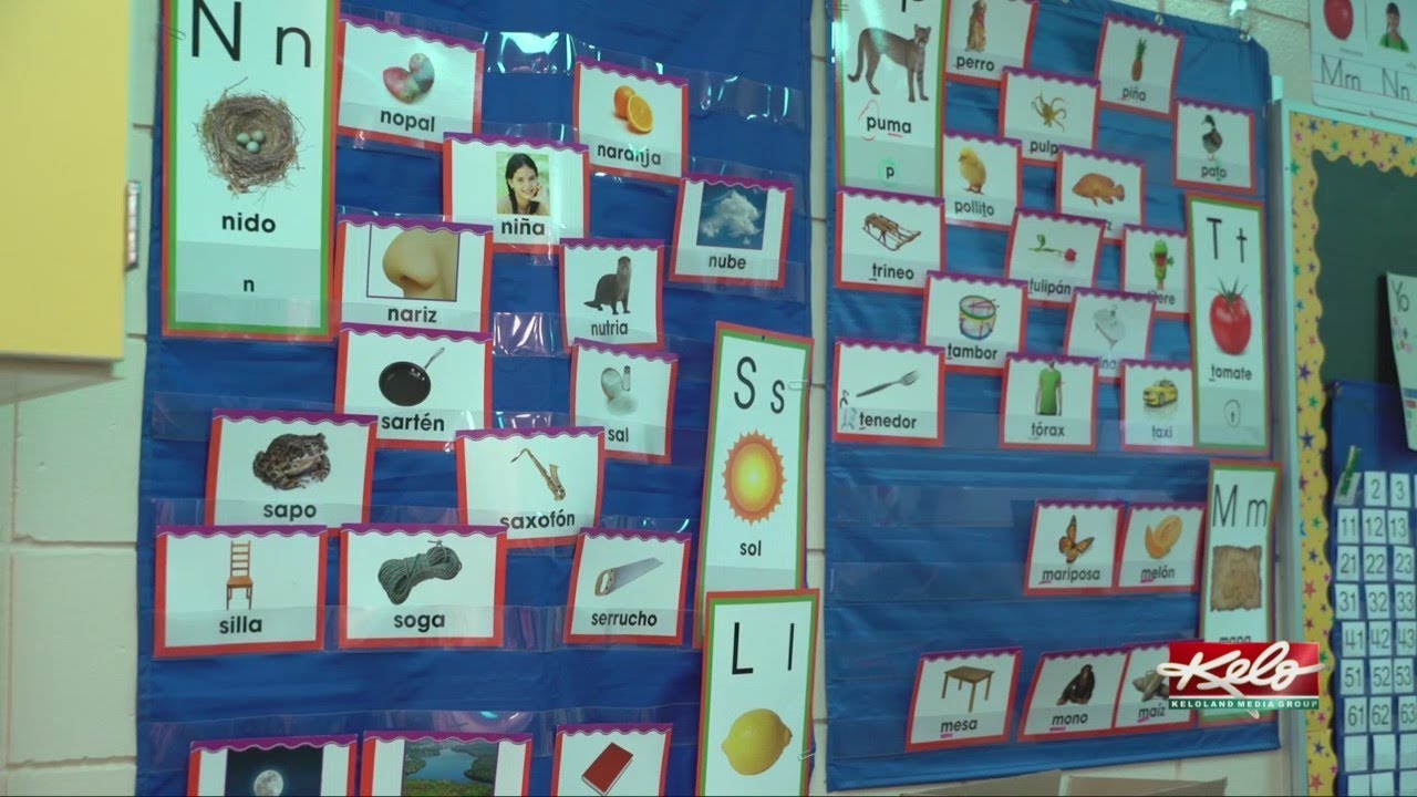 Two-way immersion programs breaking down language barriers - YouTube