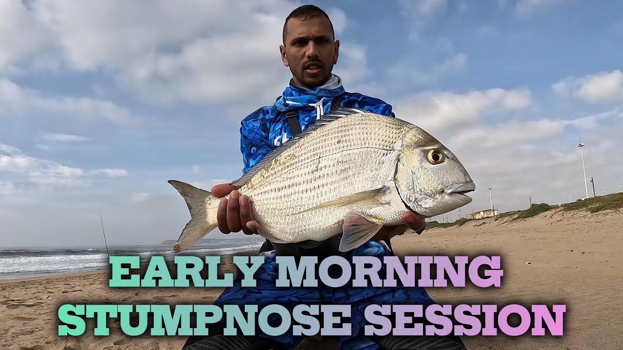 EARLY MORNING STUMPNOSE SESSION... - YouTube