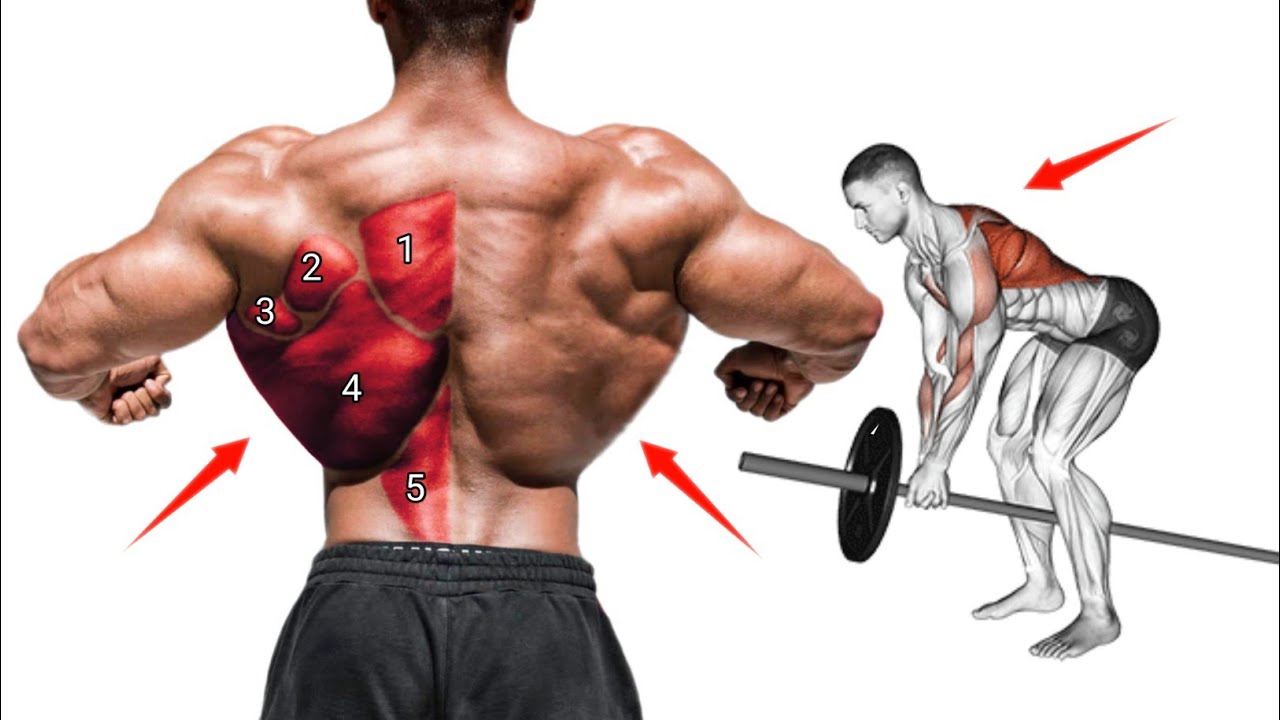 Complete The 6 Best Back Exercises To Build A Bigger Back - YouTube