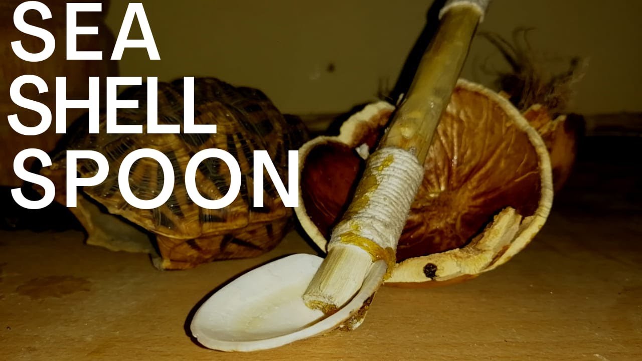 Making a sea shell spoon - A failed Project - YouTube