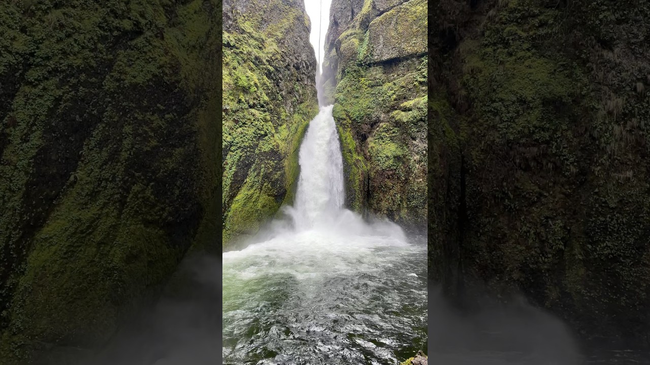 CLT to PDX time warp. #skateboarding - YouTube