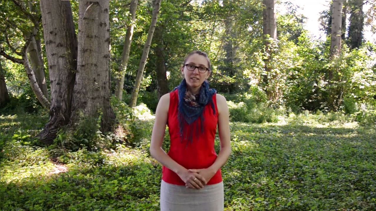 Overall, over-whelming consensus - YouTube