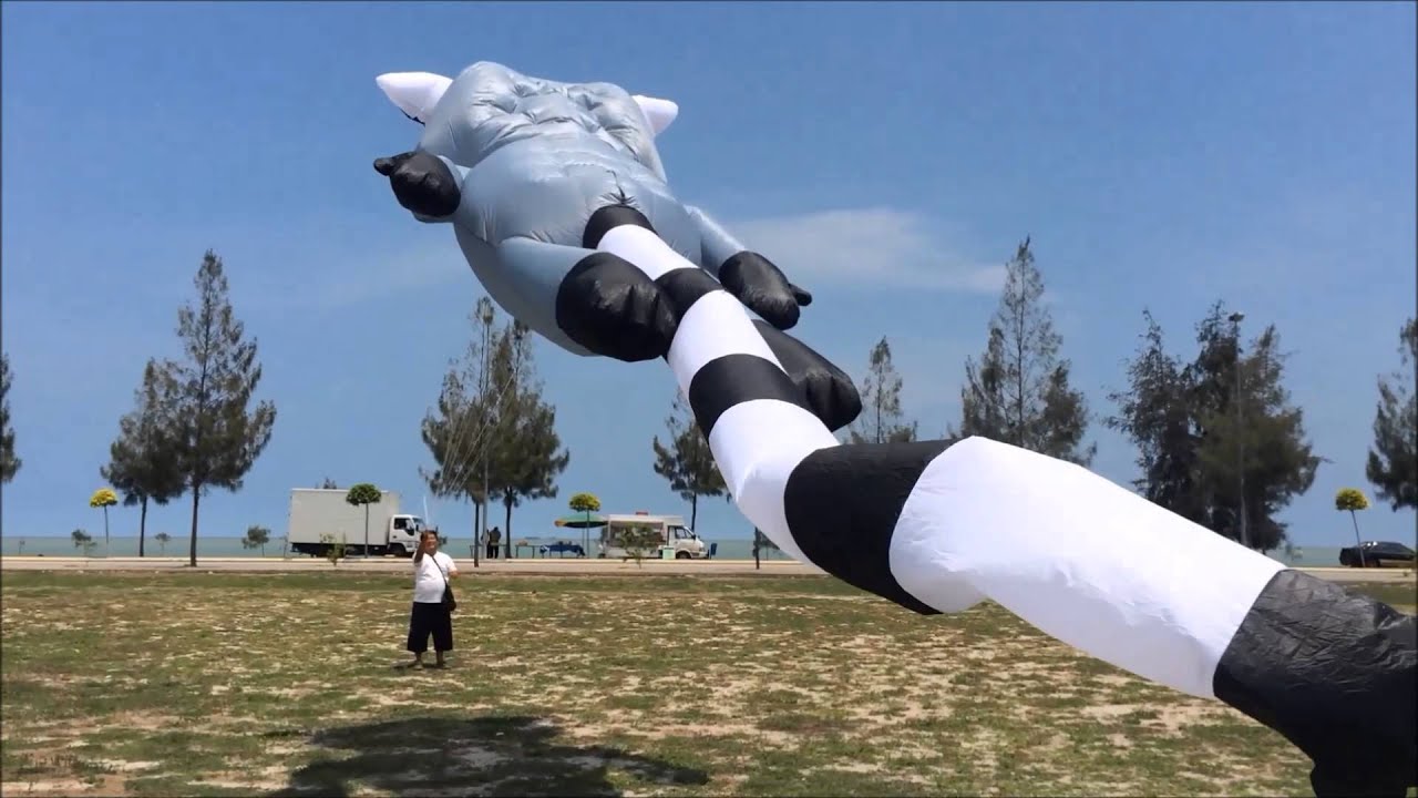 8 Meter Lemur Inflatable Kite From Germany CIM - YouTube