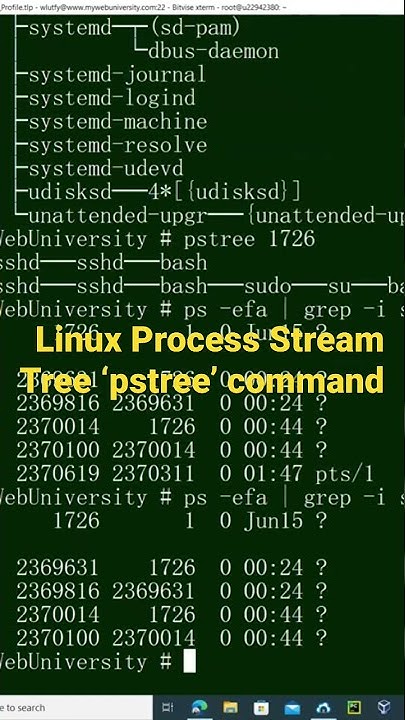 Linux Process Stream Tree ‘pstree’ command - YouTube