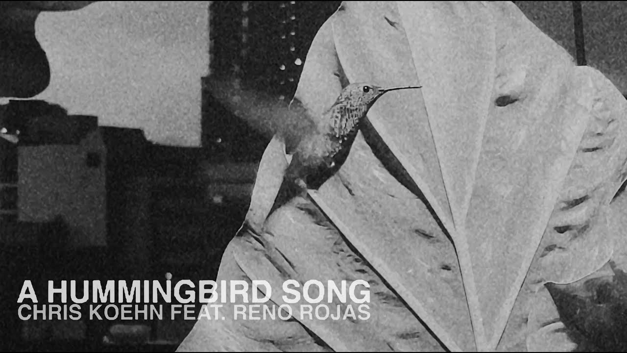 A Hummingbird Song / Chris Koehn feat. Reno Rojas ( Official Video ...