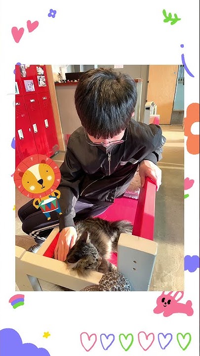 %ED%81%90%ED%8B%B0%20%ED%8F%AC%ED%86%A0%EC%95%A8%EB%B2%94 2021 11 03 12 ...