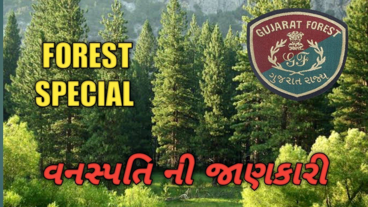 વનસ્પતિ ની જાણકારી | vanaspati ni Jankari | Forest, Talati,TAT clerk ...