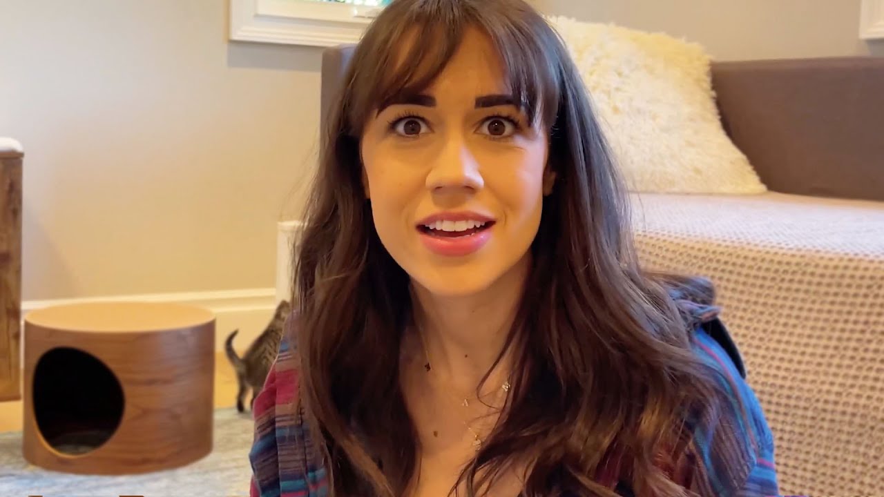 Colleen Wants To Adopt the Kitten Twins?! - YouTube