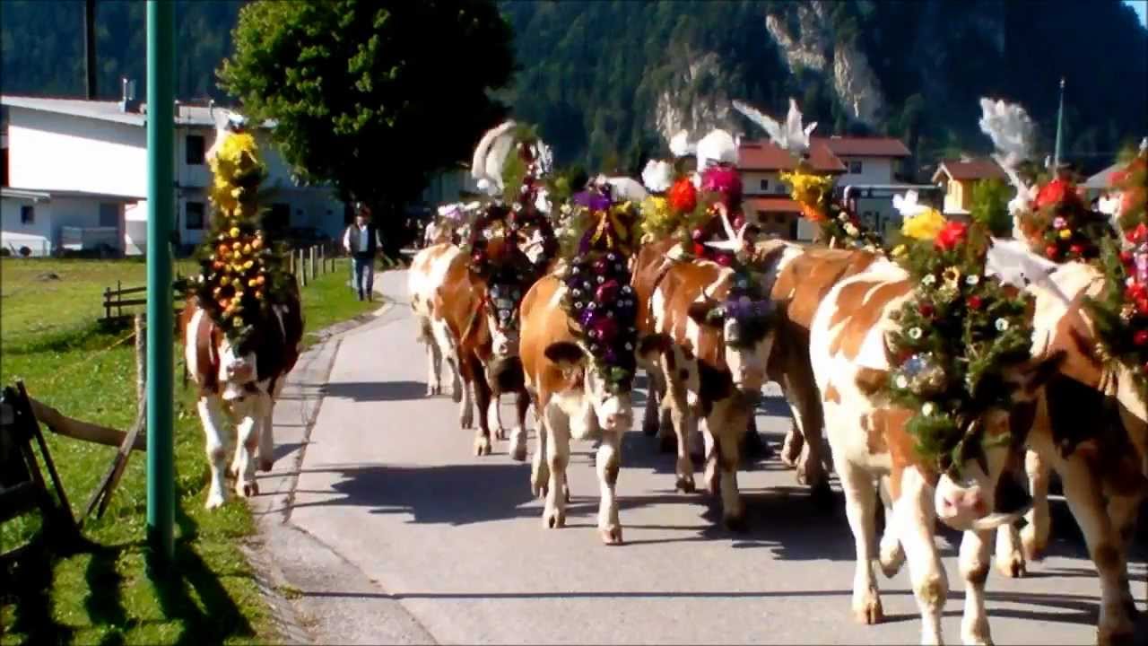 Rinderzucht Tirol Almabtrieb "Stolzenbauer" Reith i. A. 2011 - YouTube