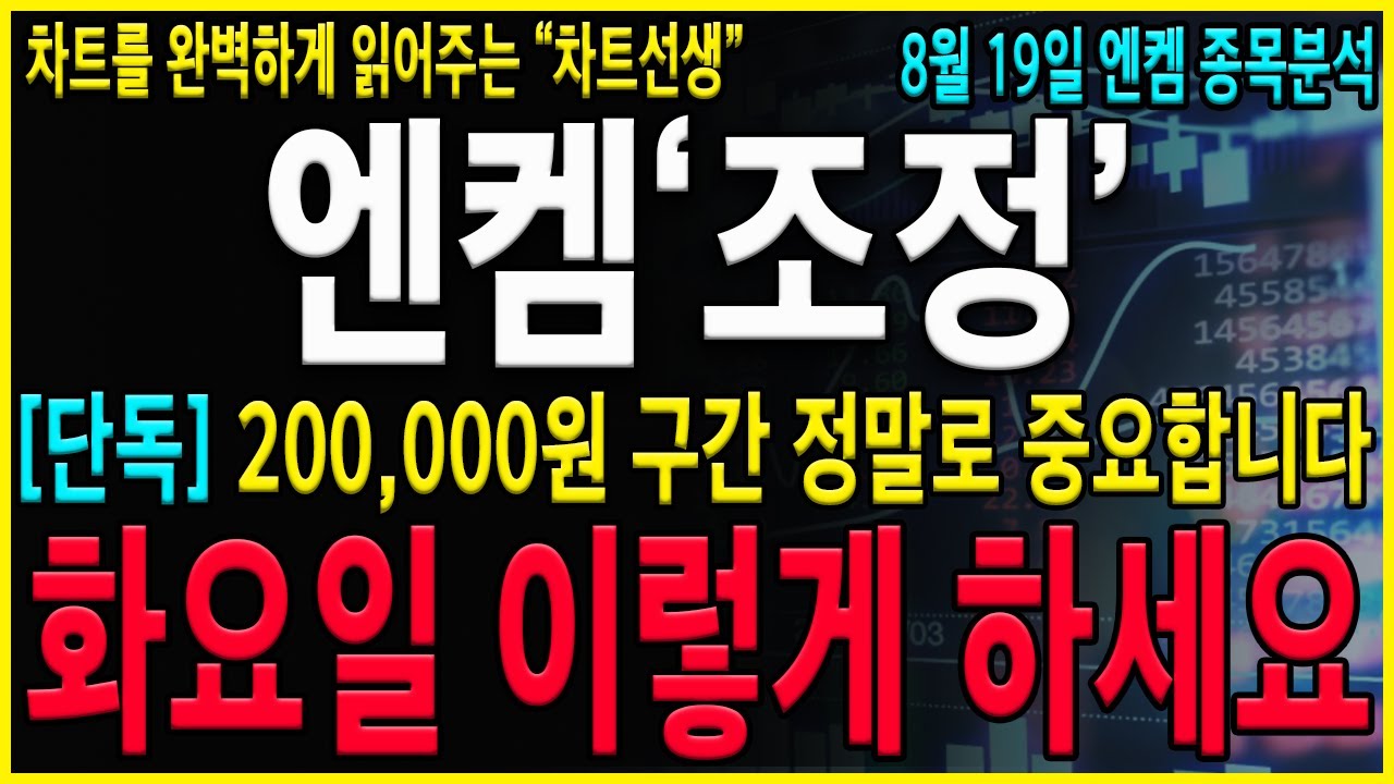 엔켐 주가 전망 긴급 중요한 200000원 자리를 정확하게 지켜줬습니다 방향성이 확실히 잡히면 추가상승은 반드시