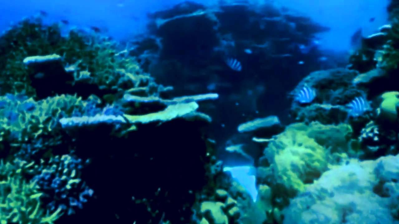 Forever Blue • Percy Jackson/Calypso - YouTube