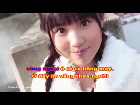 Bông cỏ may -Trường Vũ Karaoke
