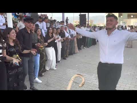 Karaca Aşiret düğünü Tanrıverdi ailesi ( Ozan Ahmet Silopi ) yep yeni newroz alanı