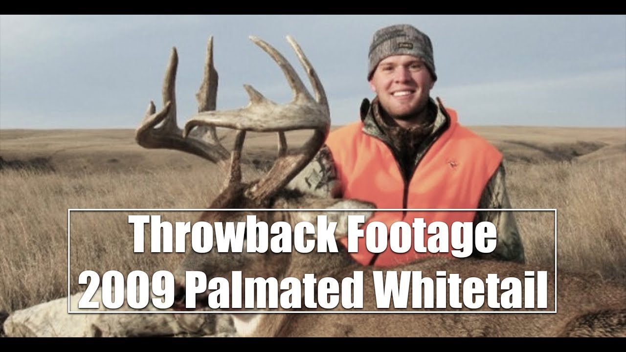 Palmated Whitetail Footage From 2009-South Dakota - YouTube