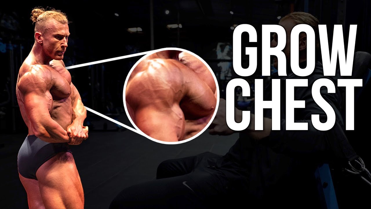 HOW TO BUILD A BIGGER CHEST [PUSH & ARMS WORKOUT] - YouTube