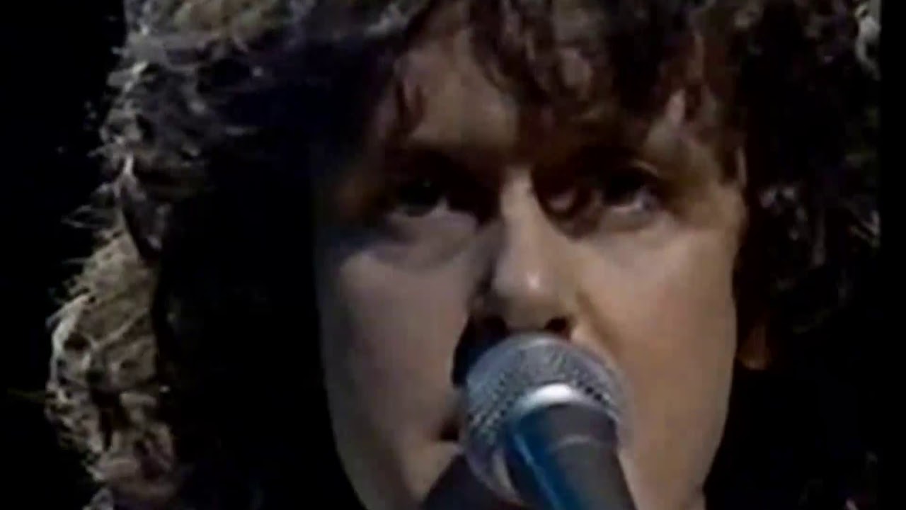 Donovan In Concert (1981) Rare Performance - YouTube