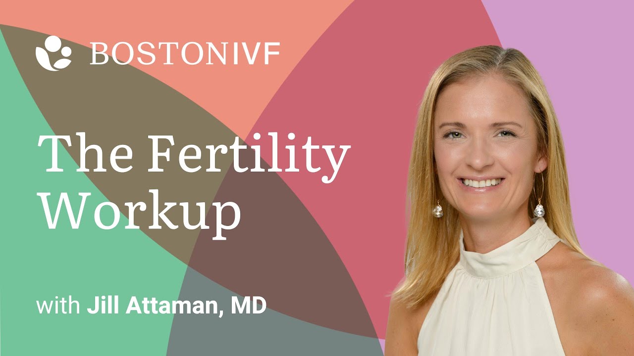 The Fertility Workup | Dr. Attaman - YouTube