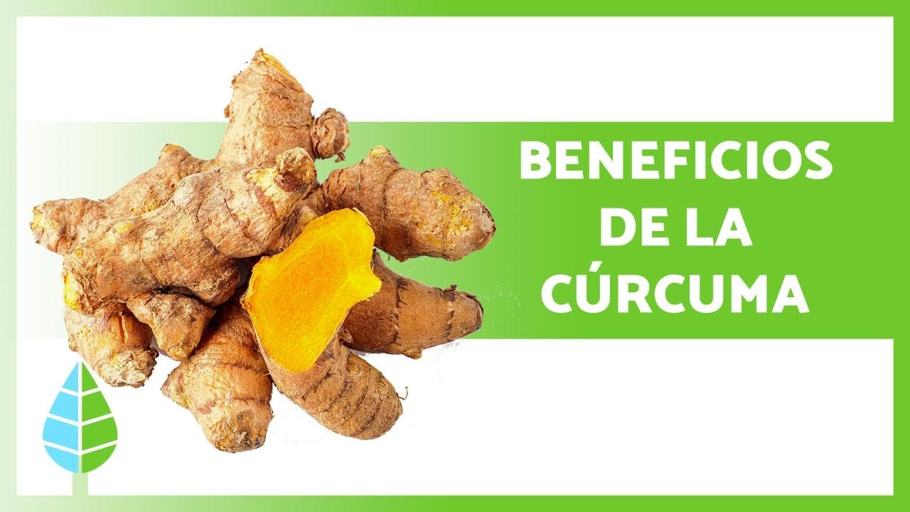 CÚRCUMA: Propiedades, BENEFICIOS y Cómo tomarla 🧡🌱 - YouTube