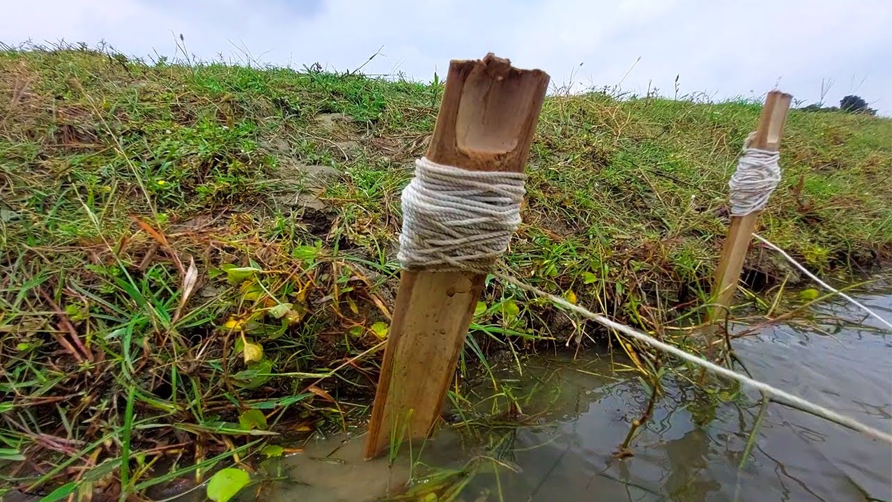 Amazing Unique Hook Fishing Technique Form River | Village Boy Hunting ...