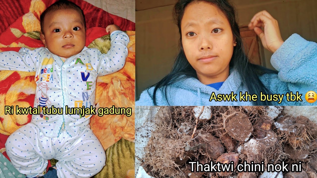 chini nokni tha phuimani ll nogo tongkhe tmkhai ag#kokborokvlog ...