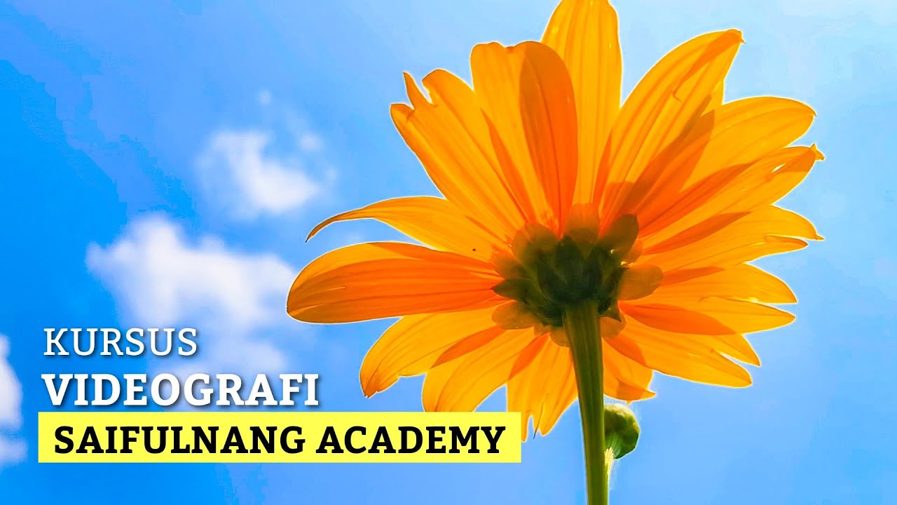 Video Pendek Hasil Kursus Videografi Bersama Cikgu Azli Yusof (Saiful ...