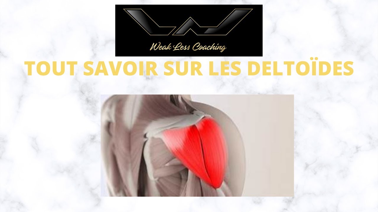 TOUT SAVOIR SUR LES DELTOÏDES ! - YouTube