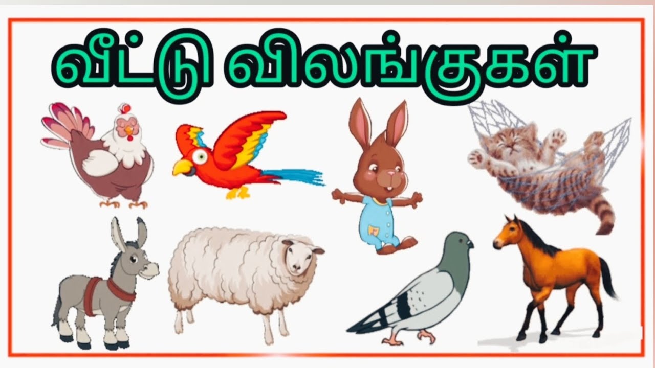 Learn farm animals names in Tamil |விலங்குகள் தமிழ் பெயர்கள் | farm ...