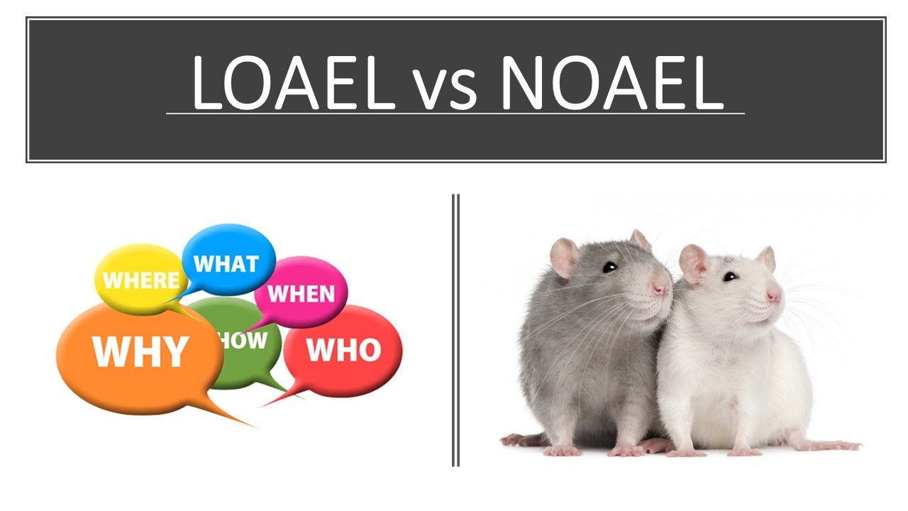 G T-7, What is NOAEL and LOAEL? General Toxicology, Module 7 - YouTube